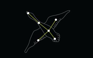 Constellations - Mayo Dark Sky Park